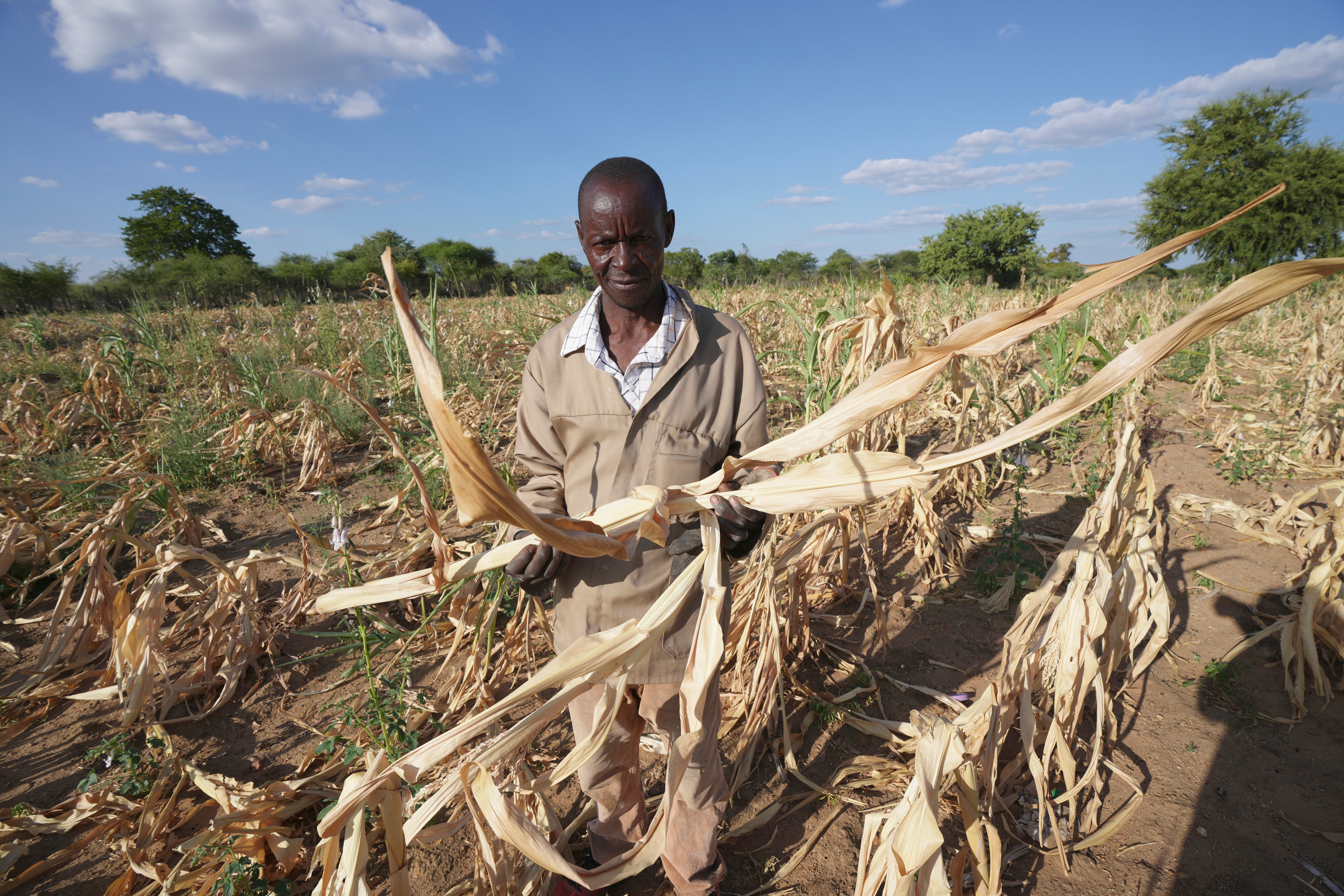 Rewind. Fast forward. African farmers are looking everywhere to ...