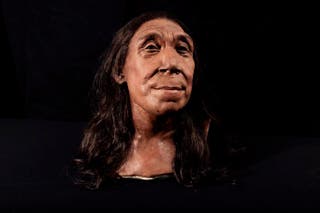 Revealed: Face of Neanderthal woman buried in Iraq’s ‘flower funeral ...