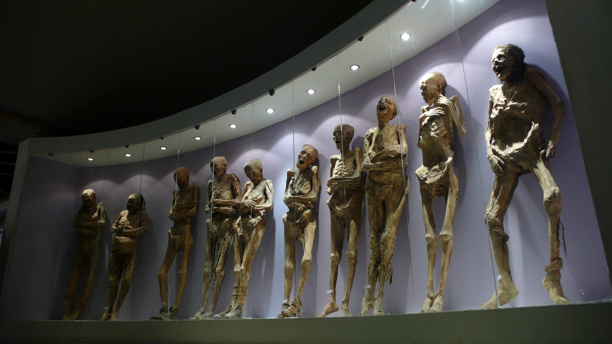 Mexican government says the arm of a 19th century mummy came off after ...