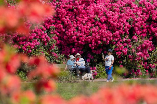 Spring 2024 warmest in the UK on record, Met Office says | The Independent