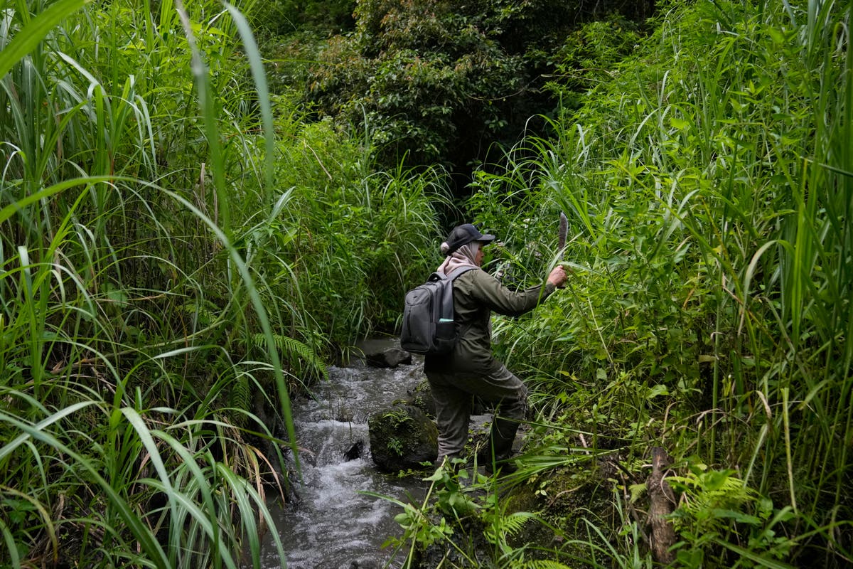 In Indonesia, women ranger teams go on patrol to slow deforestation ...