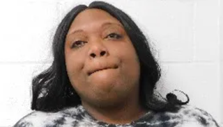 New details on woman who fatally stabbed 3-year-old within seconds ...