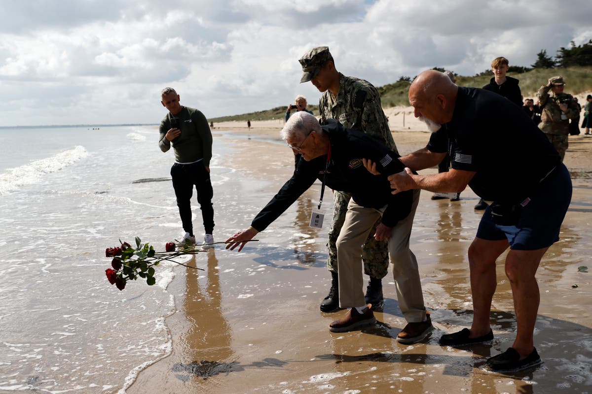 D Day Anniversary 2024 Niki Teddie