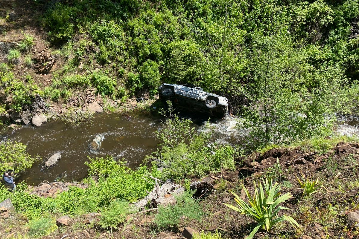 A dog helped his owner get rescued after a car crash in a remote, steep ...