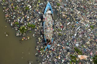 Scientists discover plastic-eating fungi that could help clean up world ...
