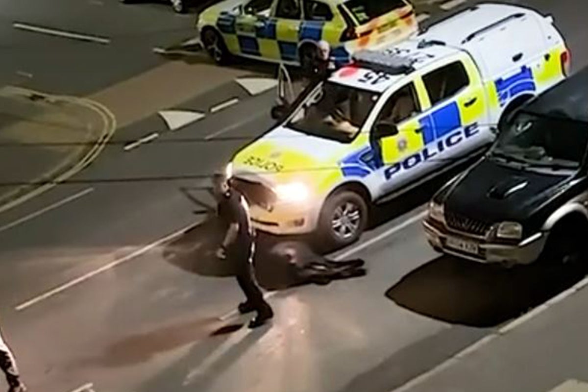 If you’re outraged by the police car hitting a calf (but still eat meat ...