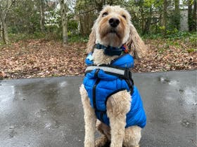 Best GPS key finders for 2025, tried and tested Bluetooth trackers ...