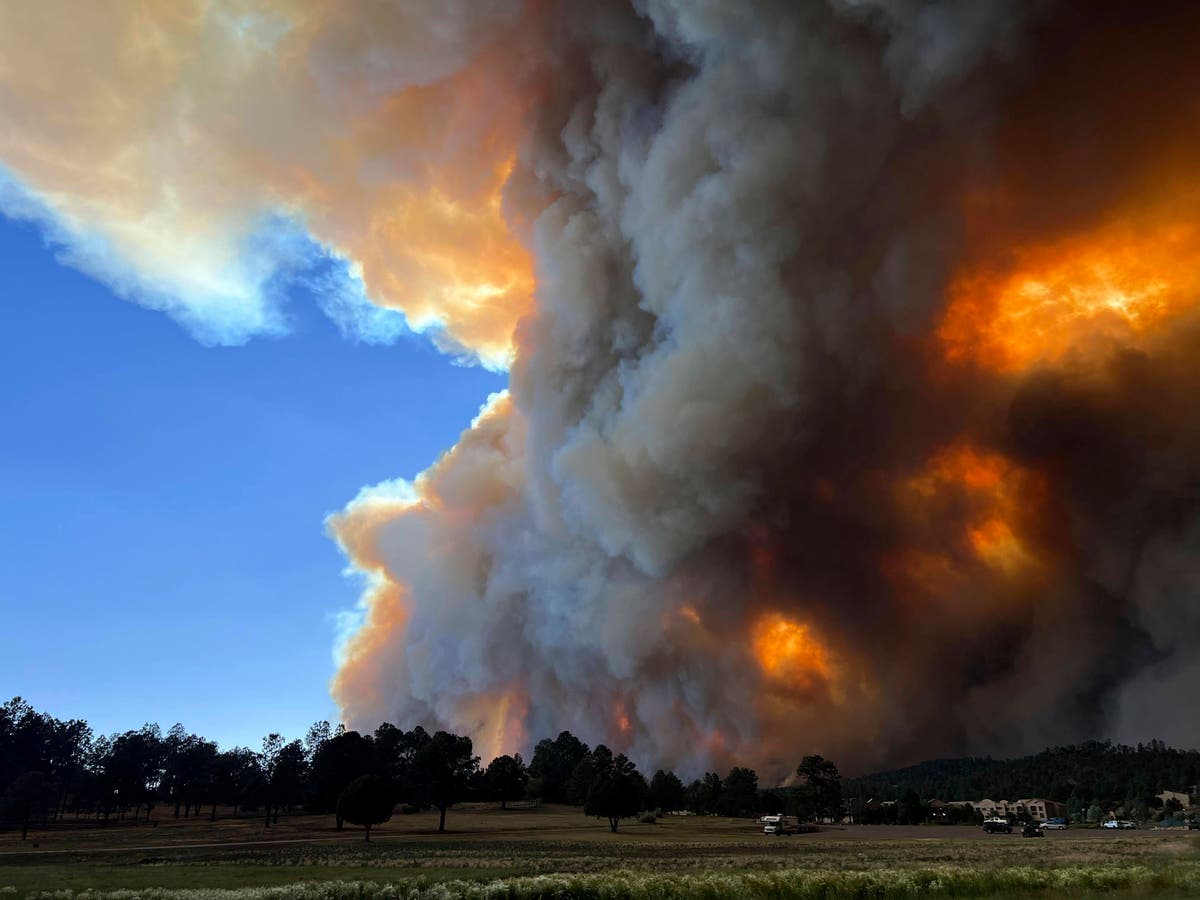 Escape from killer New Mexico wildfire was 'absolute sheer terror ...