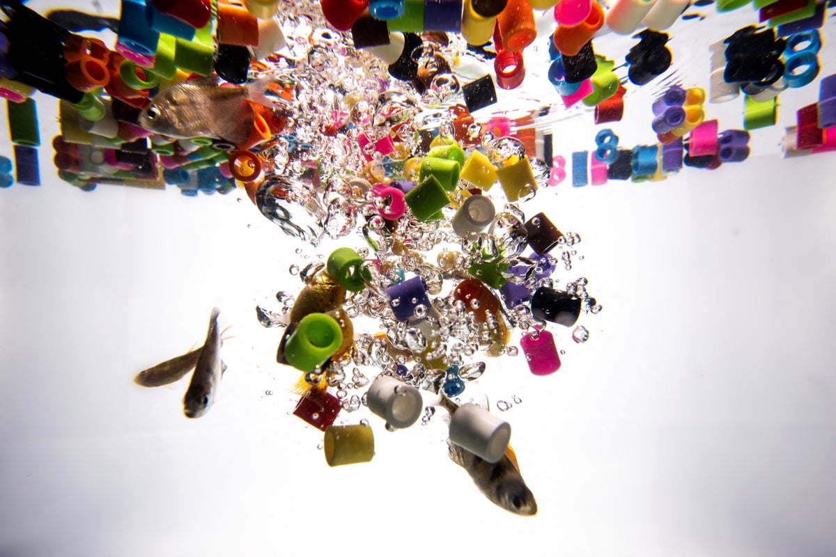 Common cleaning product releases trillions of microplastics each month ...