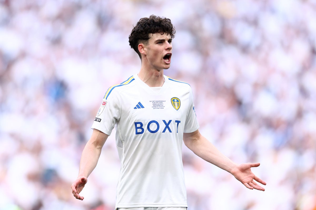 Archie Gray reveals motivation behind joining Tottenham after Leeds ...