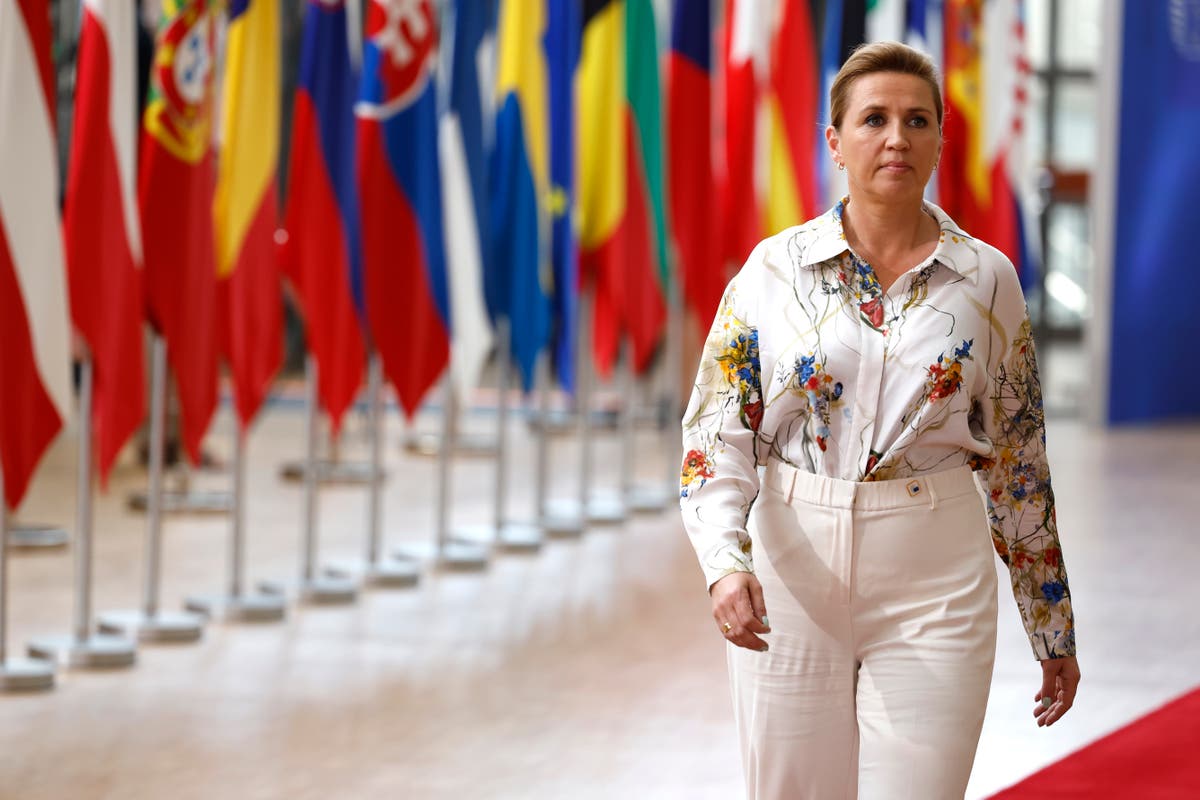 Polish man charged in Denmark over assault on prime minister ...