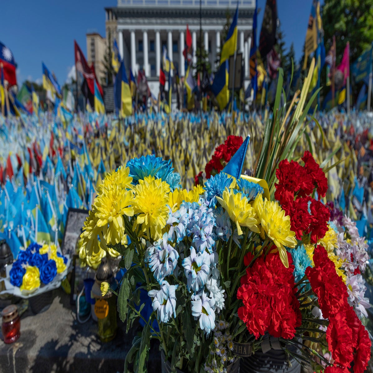 Ukrainian National Flower