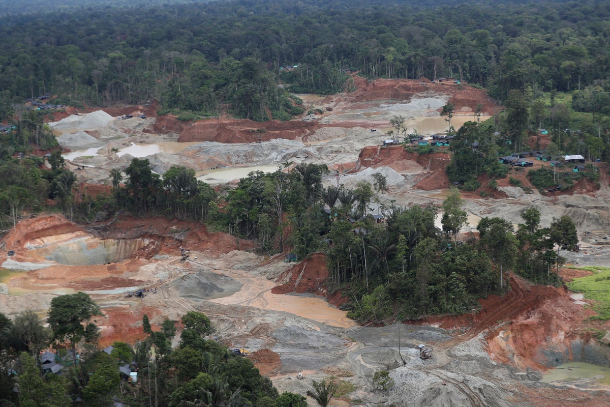 Deforestation in Colombia fell to historic lows in 2023, environment ...