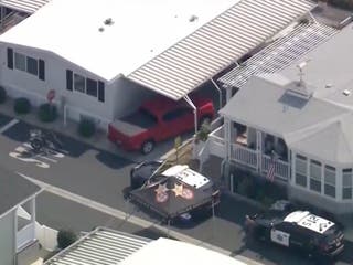 Son, 41, arrested after elderly couple, aged 79 and 77, are found ...