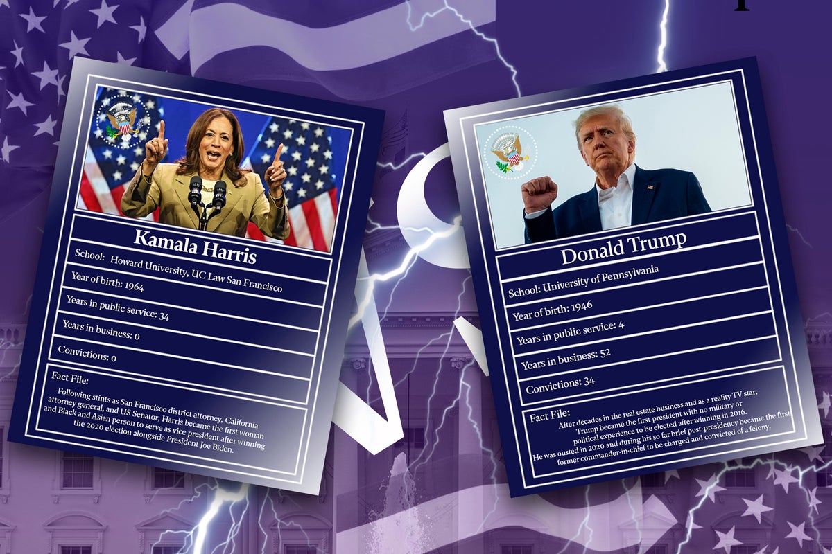 Trump vs. Harris: How their resumes compare in the race to become the ...