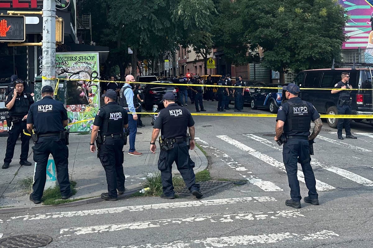 2 New York City police officers shot while responding to robbery, both ...