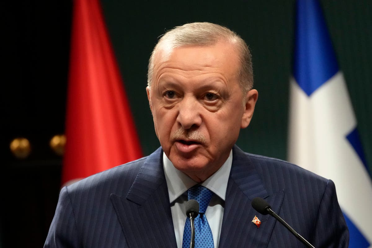 Turkey formally asks to join the genocide case against Israel at the UN ...