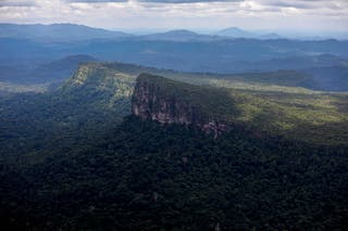 Deforestation in Brazil’s Amazon rainforest is down to lowest level ...