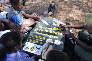 In Zimbabwe, schoolchildren face threats from animals. Now they are ...