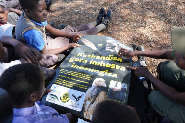 In Zimbabwe, schoolchildren face threats from animals. Now they are ...