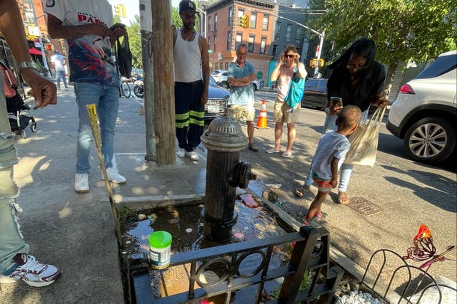 The viral fire hydrant aquarium in Brooklyn that sparked a ‘goldfish ...