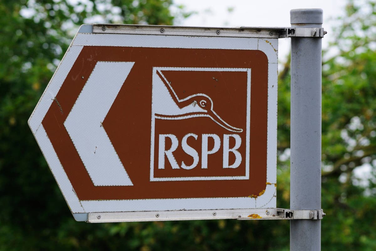 Watchdog: RSPB online post branding Sunak and Gove ‘liars’ was ...