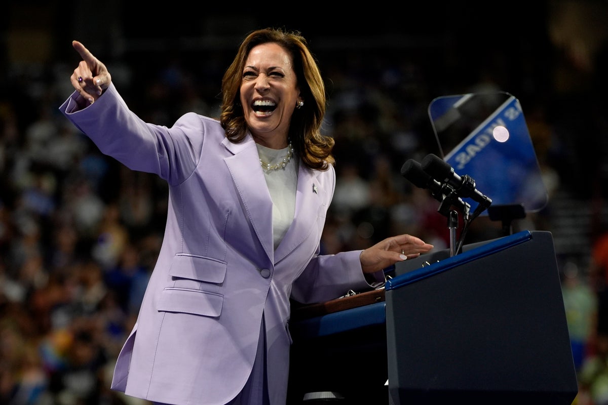 Harris campaign's new $90 million in battleground state ads aims to ...