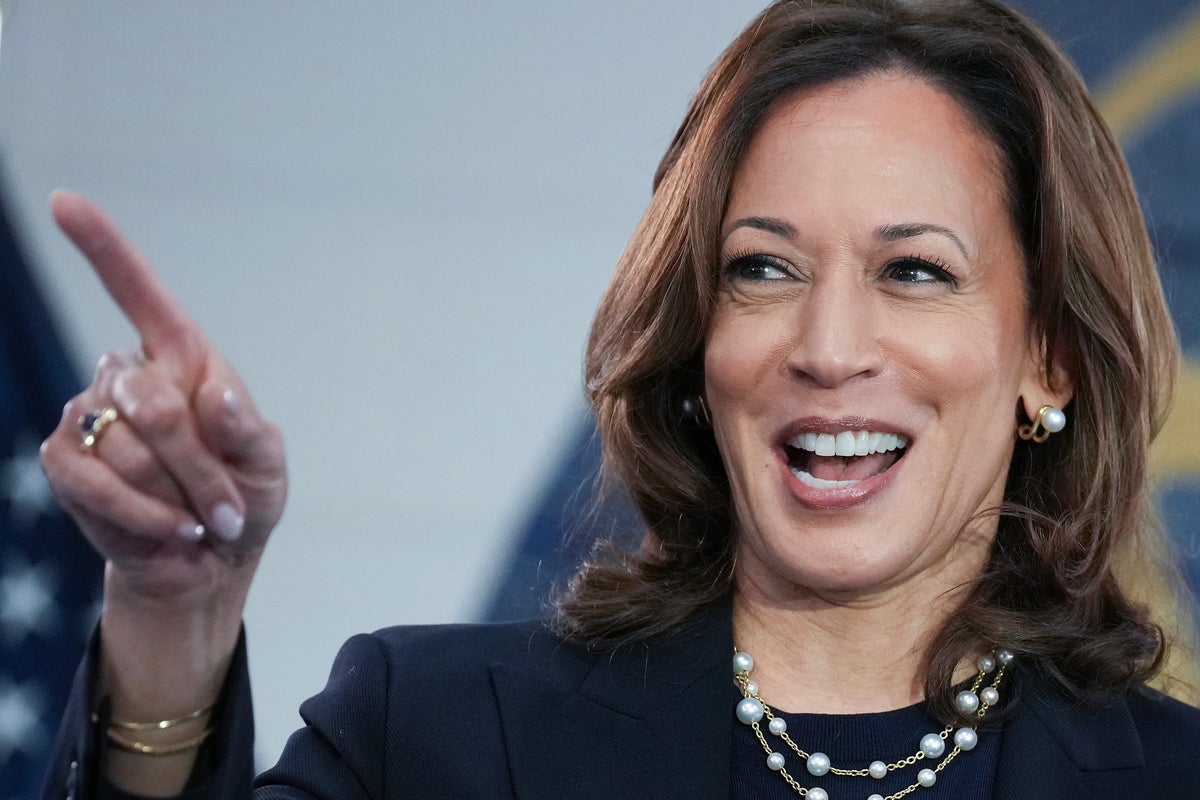 Kamala Harris enlists 16 American designers to create campaign ...