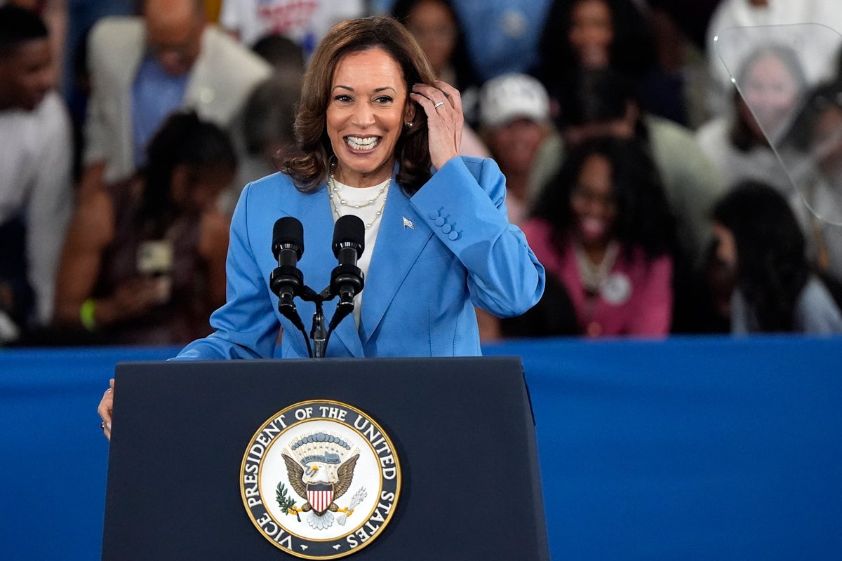 Harris campaign books $370m ad blitz focused on swing states ahead of ...