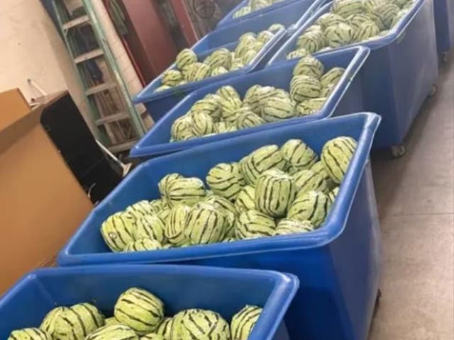 $5m of meth disguised as watermelons seized at border | The Independent