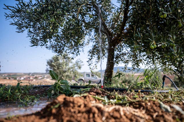 Greece struggles with water shortages thanks to climate crisis and ...