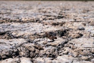 Greece struggles with water shortages thanks to climate crisis and ...