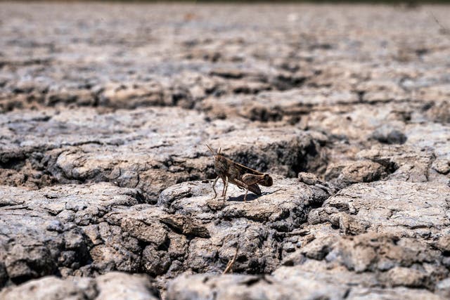 Greece struggles with water shortages thanks to climate crisis and ...