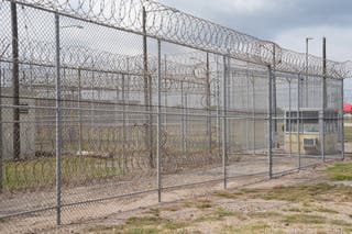 Trump’s immigration crackdown mapped: Where are majority of ICE ...