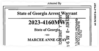 Georgia school shooting suspect’s aunt breaks silence after tragedy ...