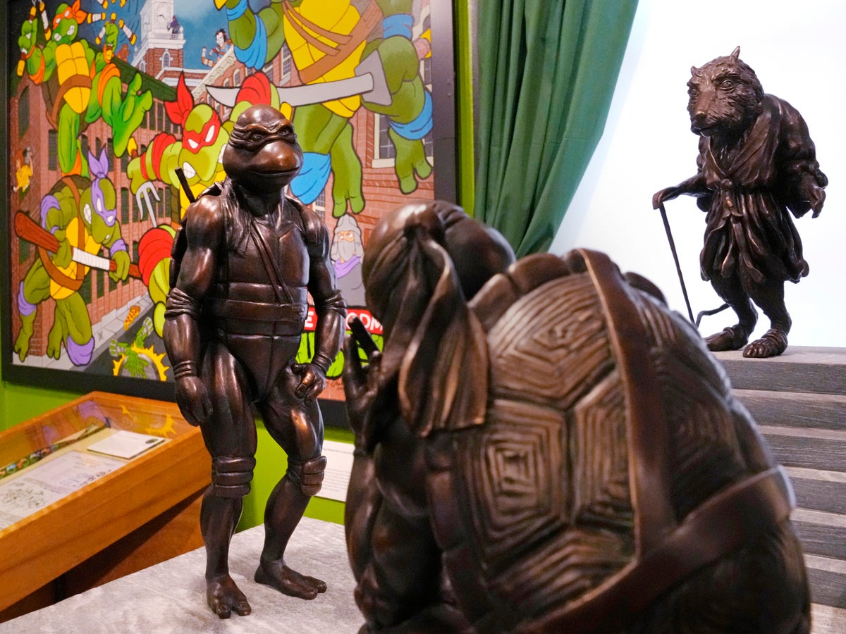 Ninja Turtles In Concert