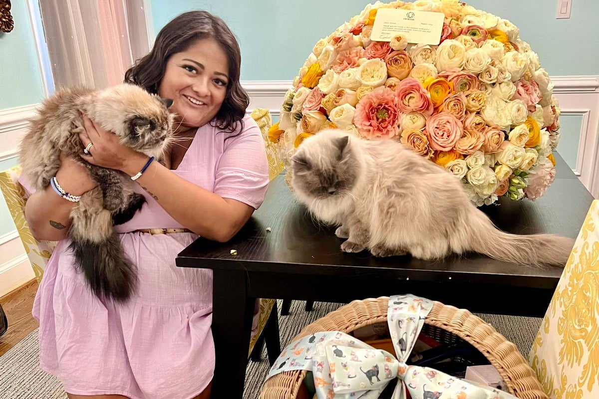 Oprah sends viral ‘childless cat lady’ flowers and a basket of cat toys ...