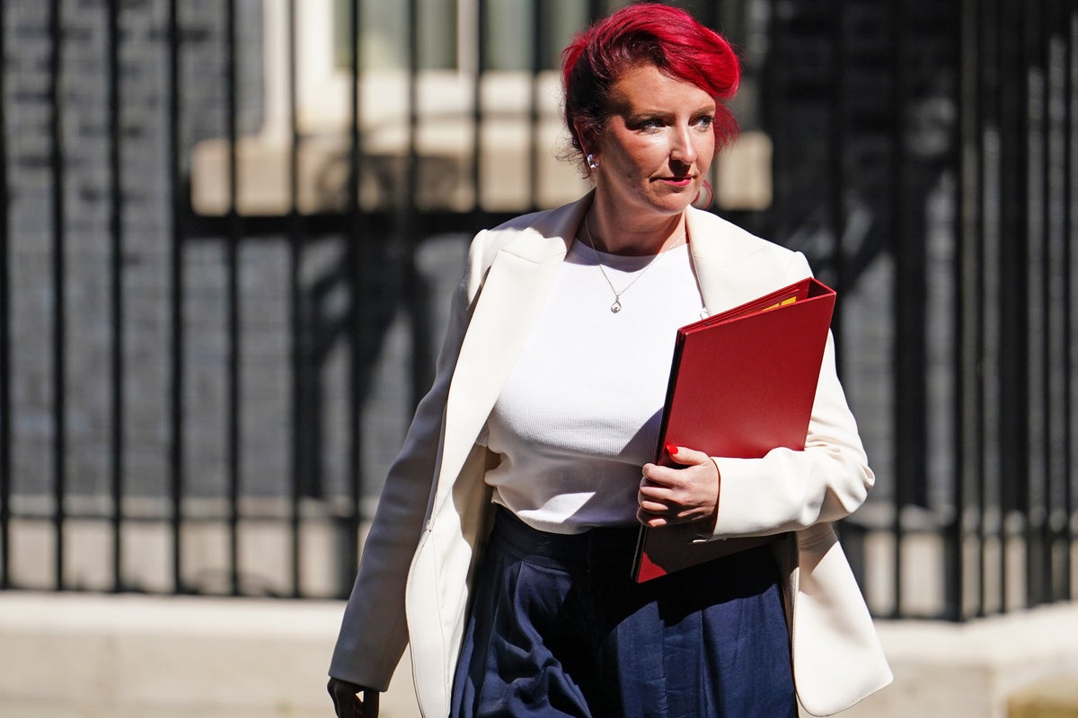 Haigh gets on the bus with her socialist transport revolution | The ...