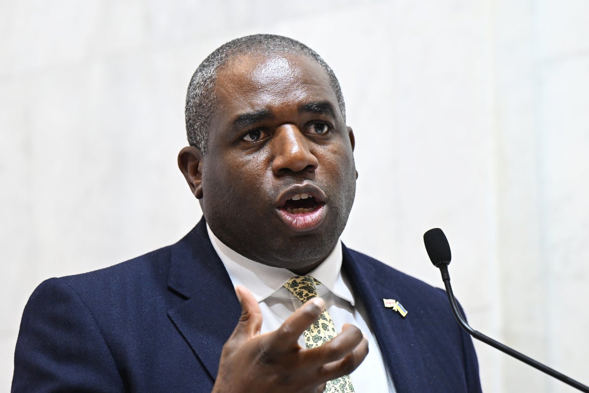 Watch: David Lammy pledges Labour commitment to global clean energy ...