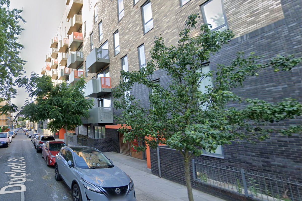 Woman, in 30s, stabbed to death in Tower Hamlets as police launch ...