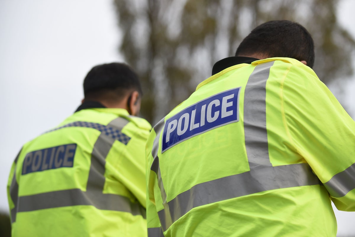 AI could be used to solve Britain’s most notorious cold cases, police ...