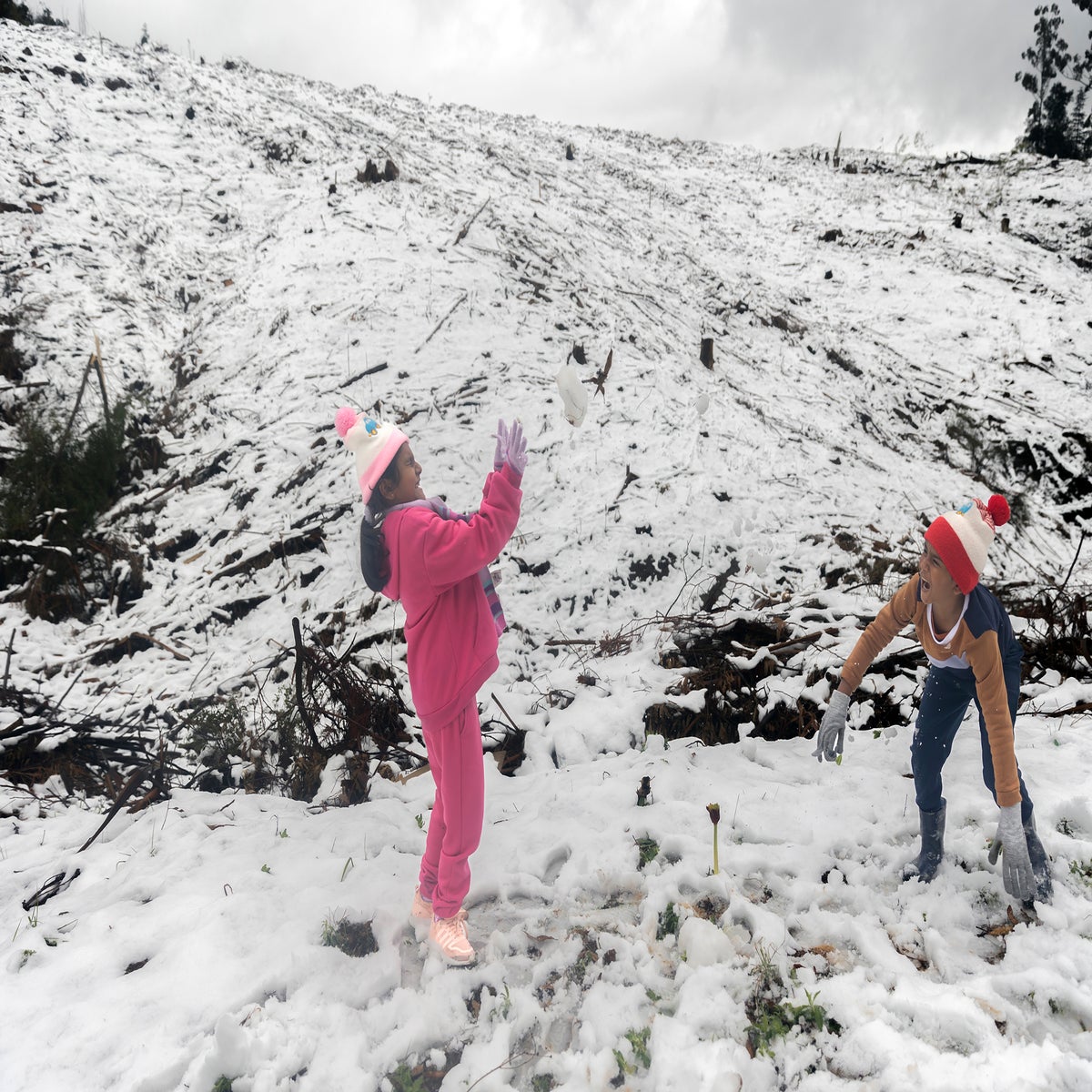 Snow South Africa Getting Bored In SA Is A Choice': Snowfall Brings