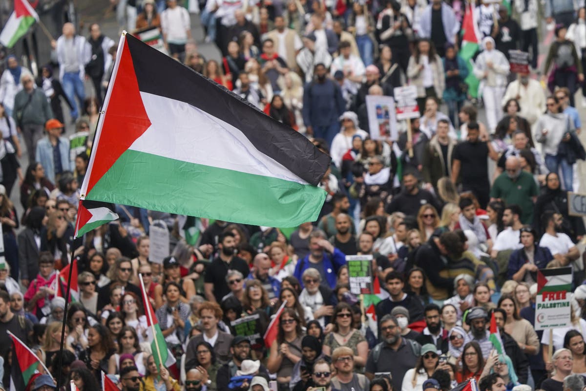 Labour MP urges pro-Palestine protesters to keep marching as battle ...