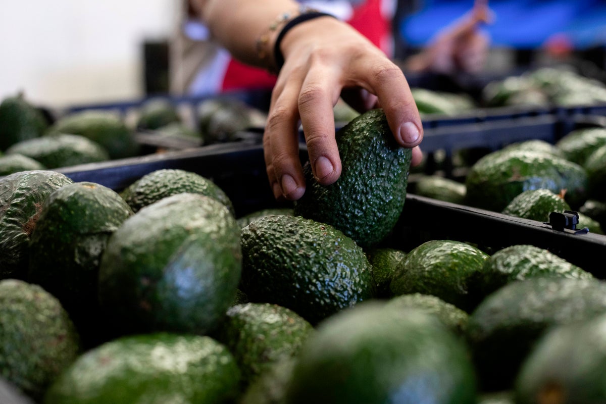 How avocados became one of the most Instagrammed foods in the world ...