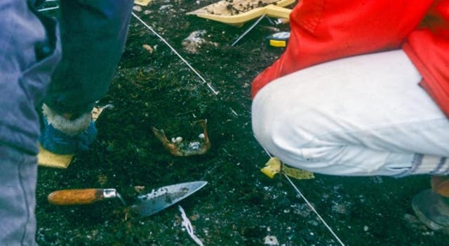 Scientists finally identify cannibalised remains from doomed 1845 ...