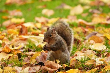 Helen Coffey | The Independent