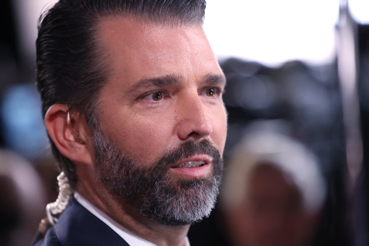 Don Jr to visit Greenland as Trump renews threat to take it over | The ...