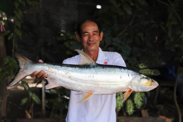 Ghost fish river monster thought to be extinct is spotted again | The ...