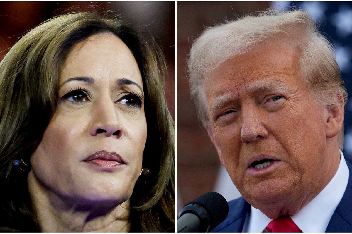 Can we trust the polls about Harris and Trump — and how do they really ...