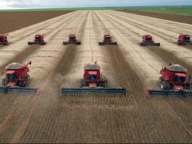 Tesco, KFC and other top brands could be selling chicken linked to ...